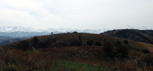 border-slideshow - Ajam Media Collective