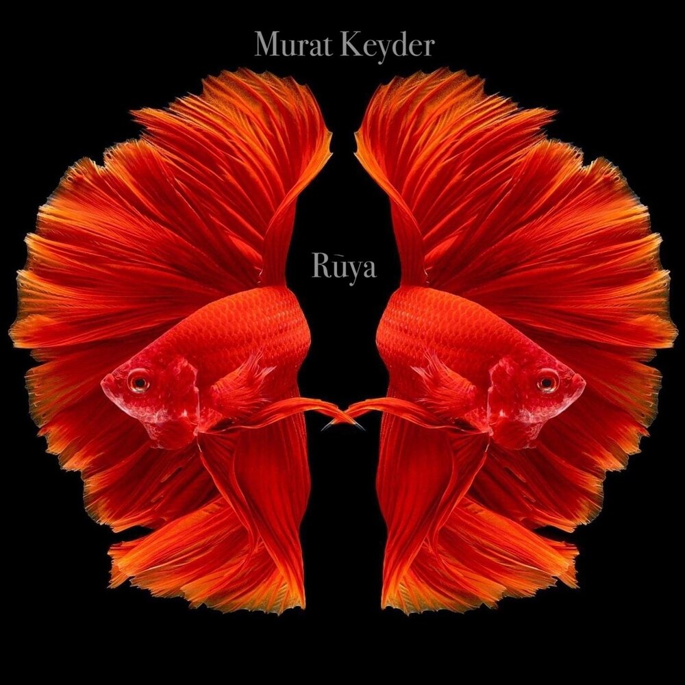 Ajam Mixtape #13: Oud Across Borders - Ajam Media Collective