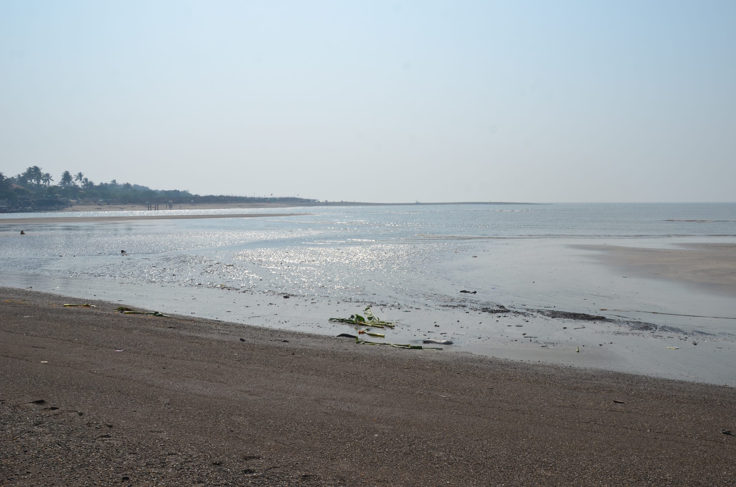 Nargol 04 - Ajam Media Collective